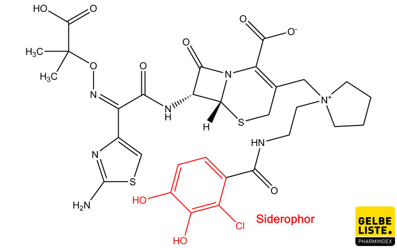 Cefiderocol - Anwendung, Wirkung, Nebenwirkungen | Gelbe Liste